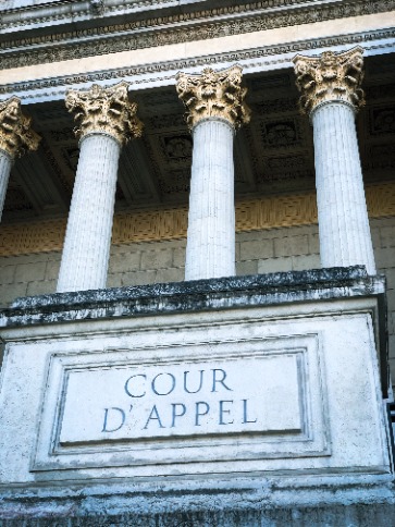 Live Law Reader